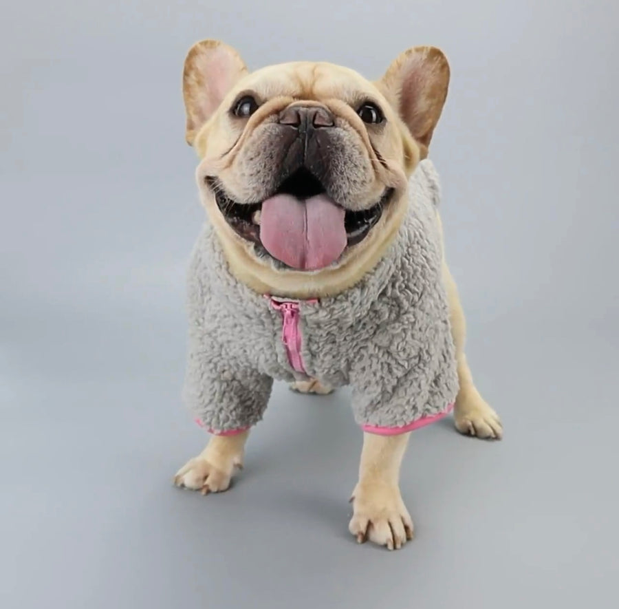 Designer Dog Clothes and Accessories – Soho Paws